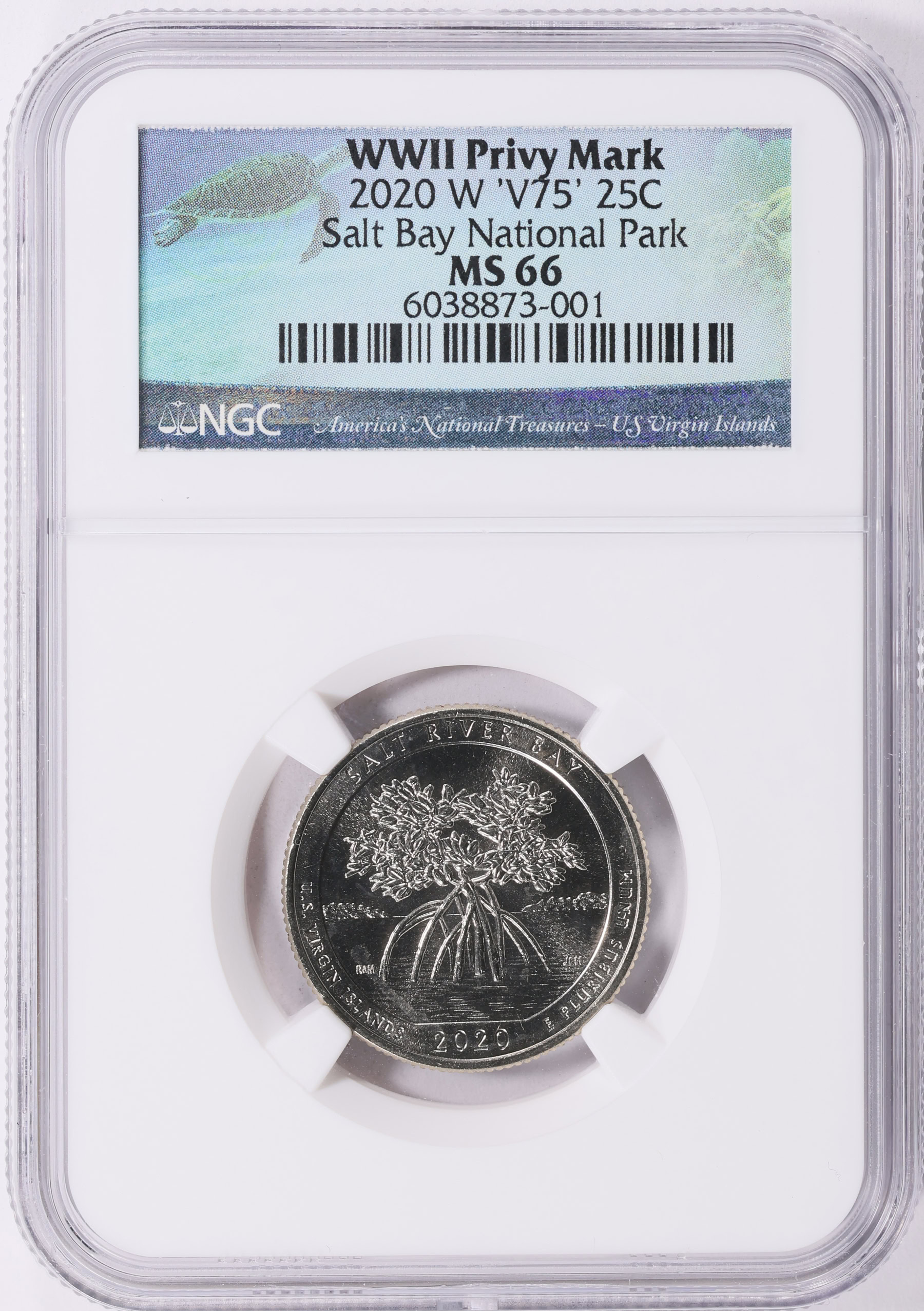 2020-W America the Beautiful Quarter Salt River National Park V75 NGC ...