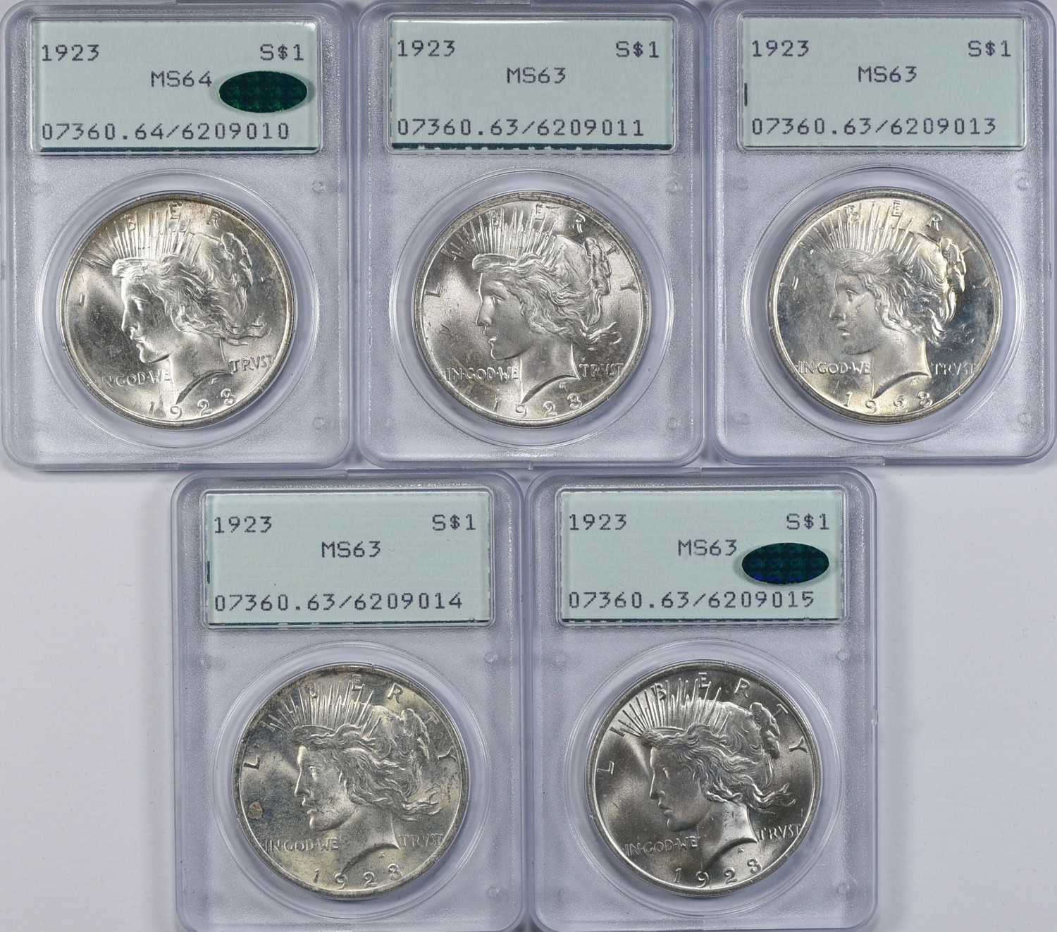 1923 Peace Silver Dollar Including CAC PCGS MS-62/63/64 OGH (1st Gen ...