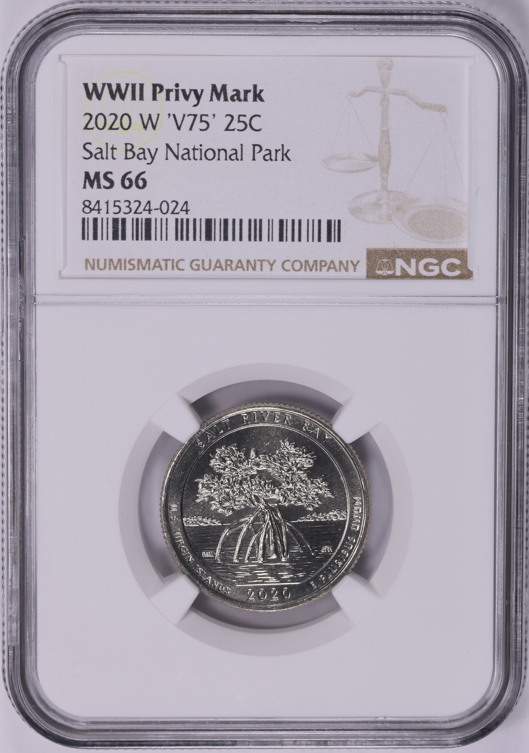 2020-W America the Beautiful Quarter Salt River National Park V75 NGC ...