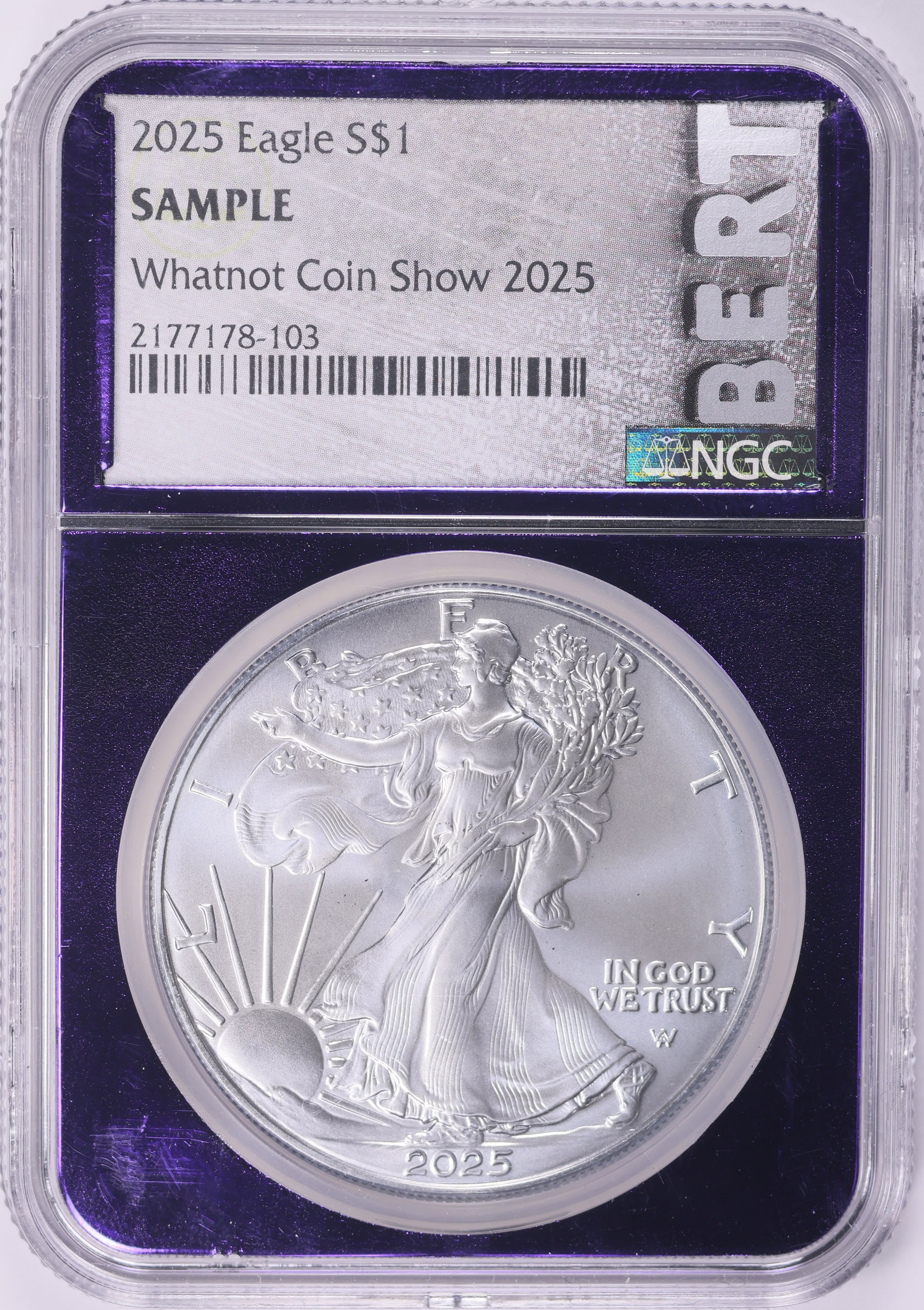 2025 $1 Silver Eagle NGC Certified (Sample Slab) (Metallic Purple Frame ...