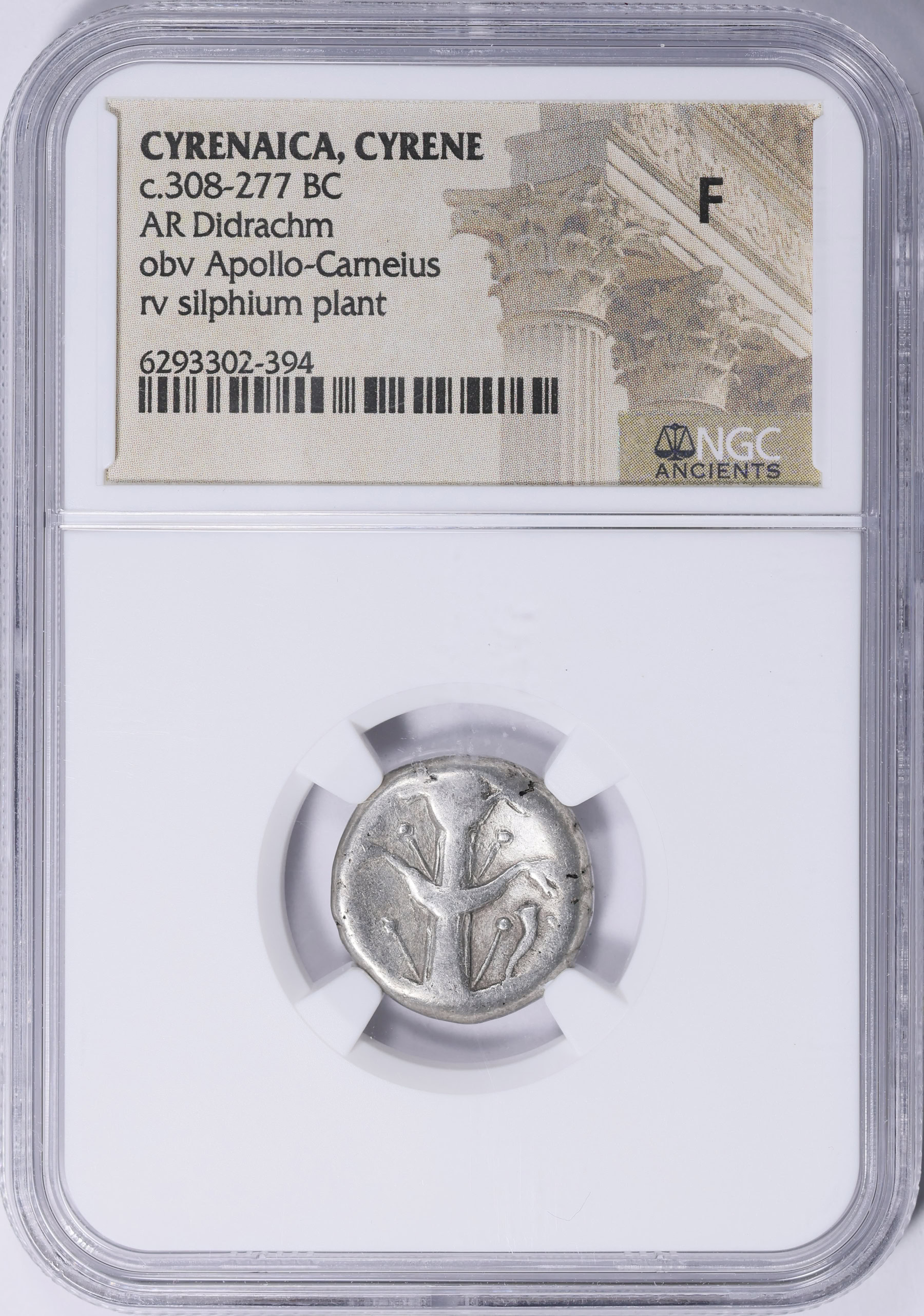 Ancient Cyrenaica, Cyrene c.308-277 B.C. AR Didrachm NGC F | Cert ...