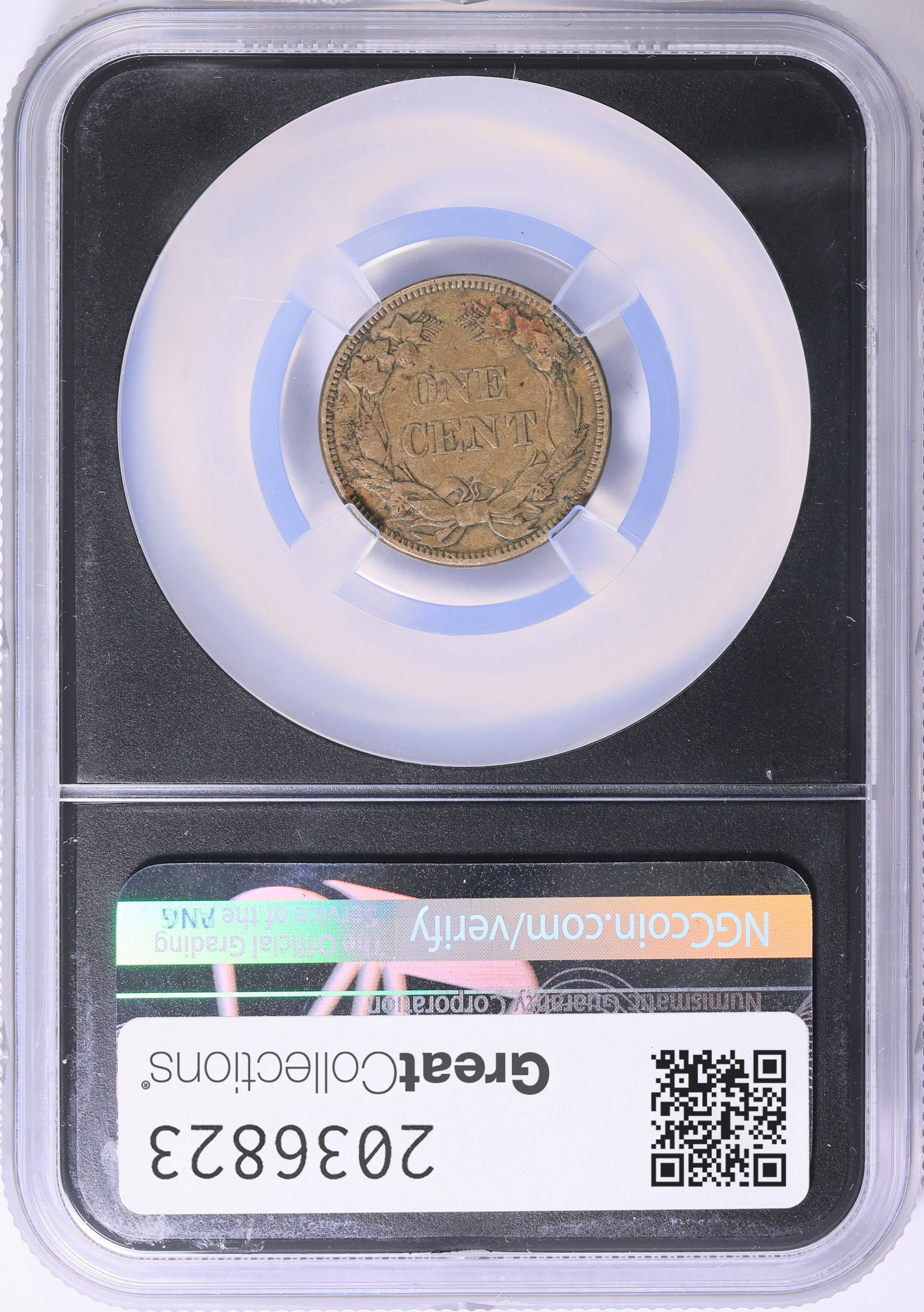 1858 Flying Eagle Cent Small Letters NGC XF-45 (VaultBox Series 3 ...