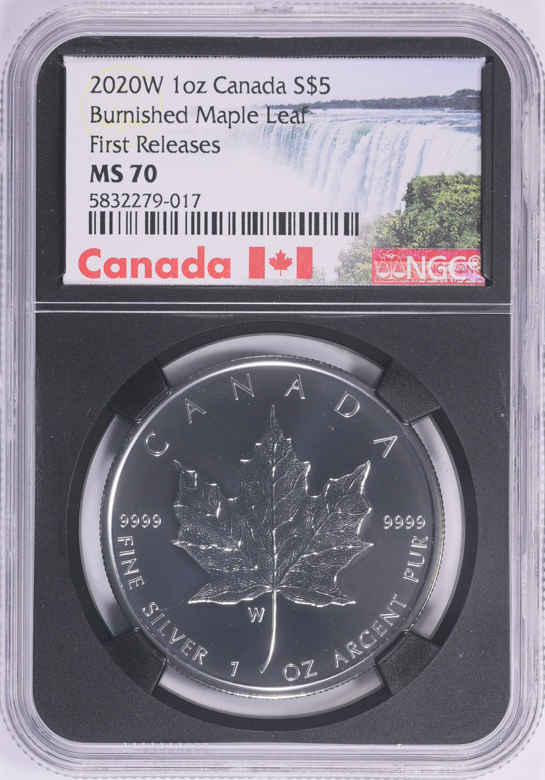 Canada 2020-W Silver $5 Maple Leaf Burnished KM-1601 First Releases NGC ...