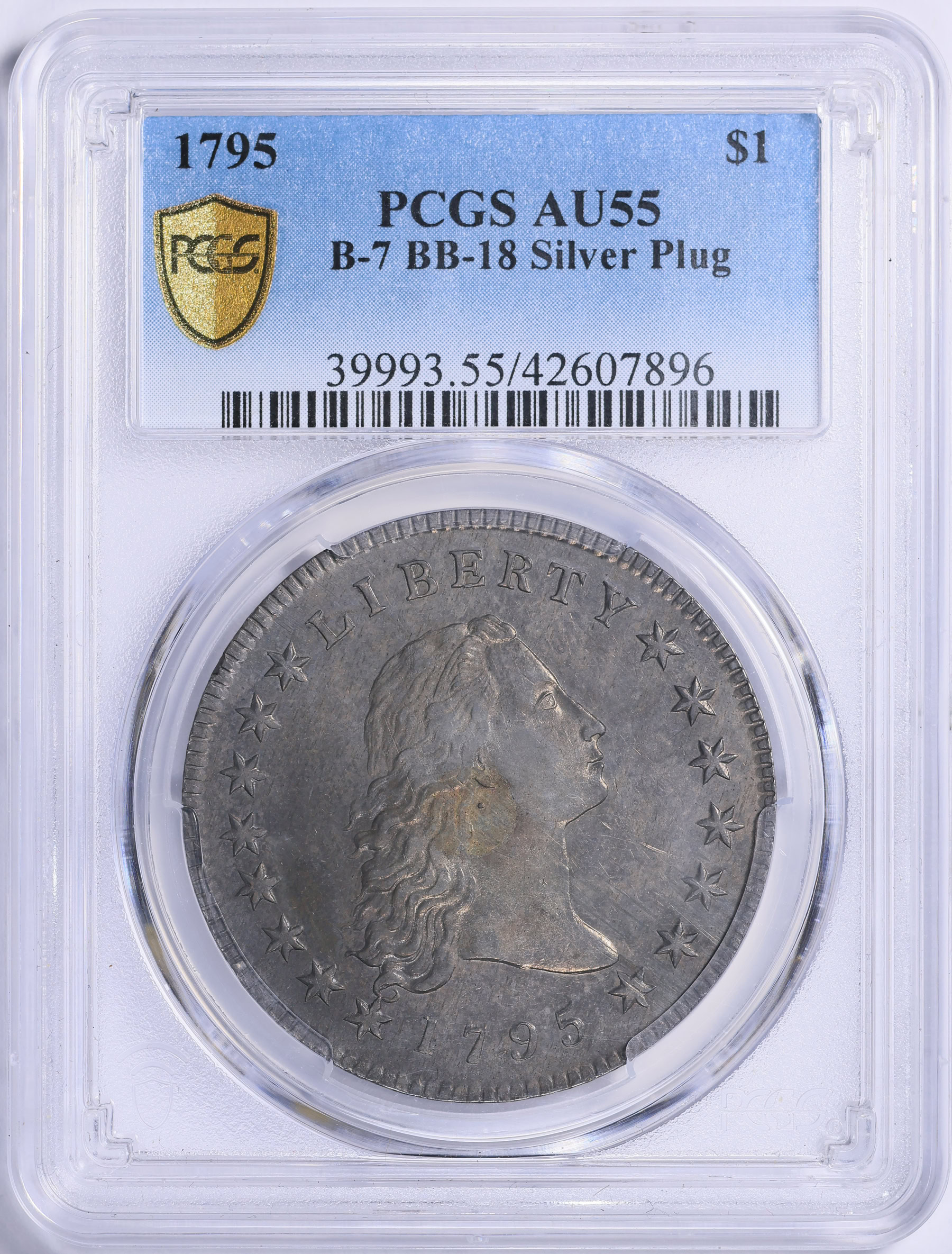 1795 Flowing Hair Silver Dollar B-7 BB-18 Silver Plug PCGS AU-55 (Item ...