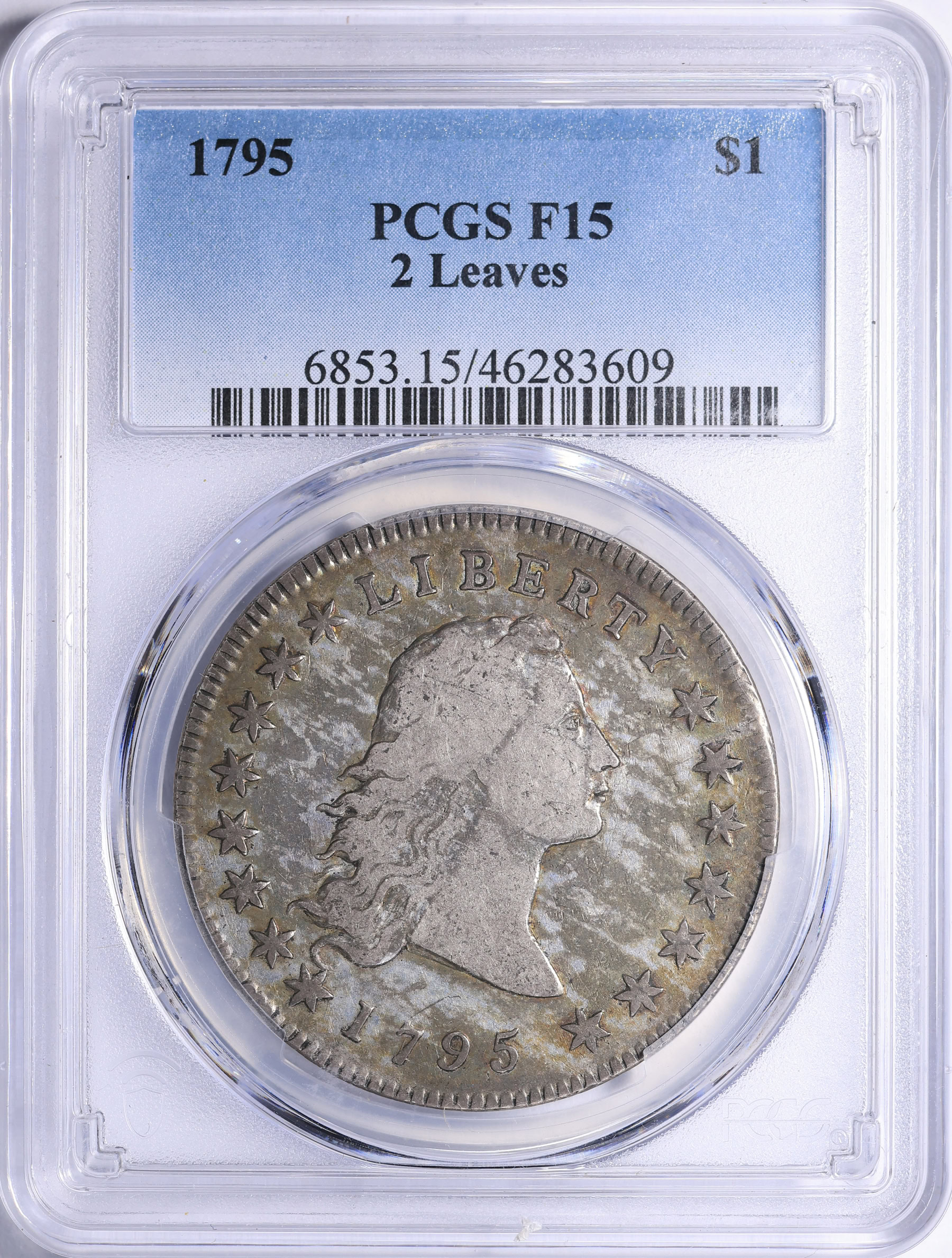 1795 Flowing Hair Silver Dollar 2 Leaves PCGS F-15 (Toned) (Item ...