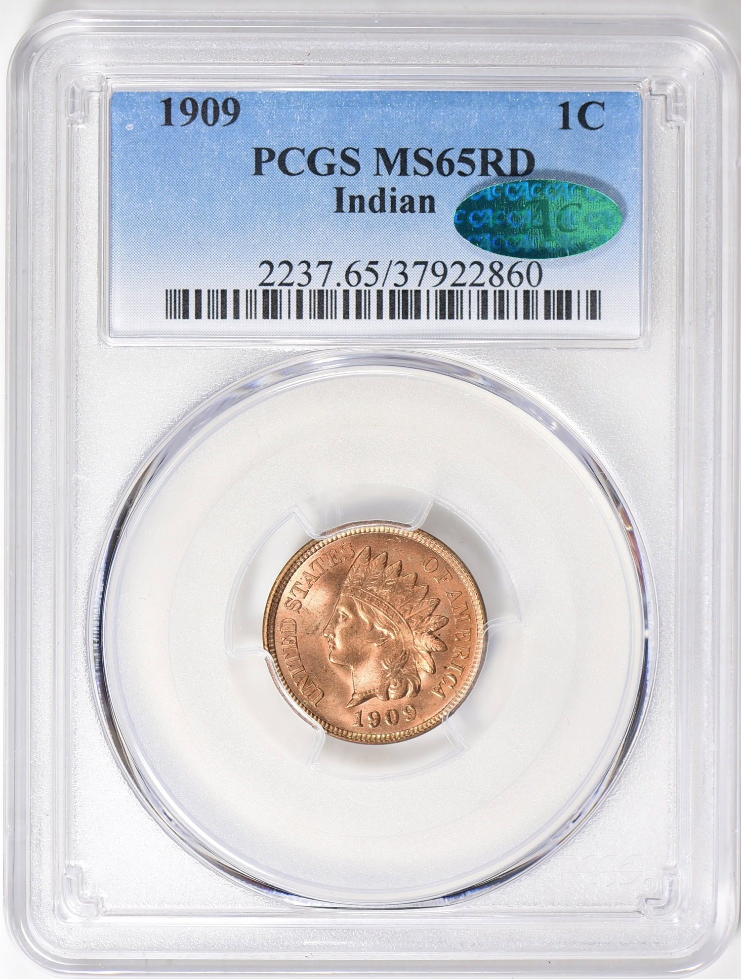 1909 Indian Cent PCGS MS-65 RD (CAC Green) (Item 731453) | GreatCollections Coin Auctions
