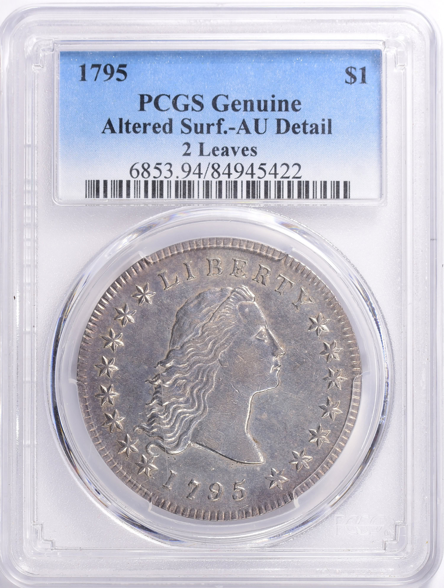1795 Flowing Hair Silver Dollar 2 Leaves PCGS Genuine AU Details (Item 1385690 ...