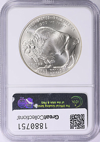 2001-D American Buffalo Silver Dollar (From the Coin and Currency Set ...