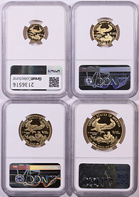 1990 $5, $10, $25 and $50 Gold American Eagle Set NGC Proof-70 UC (Moy ...